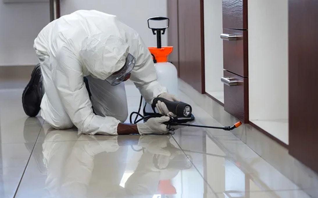 Liverpool Deals & Coupons | Negotiator